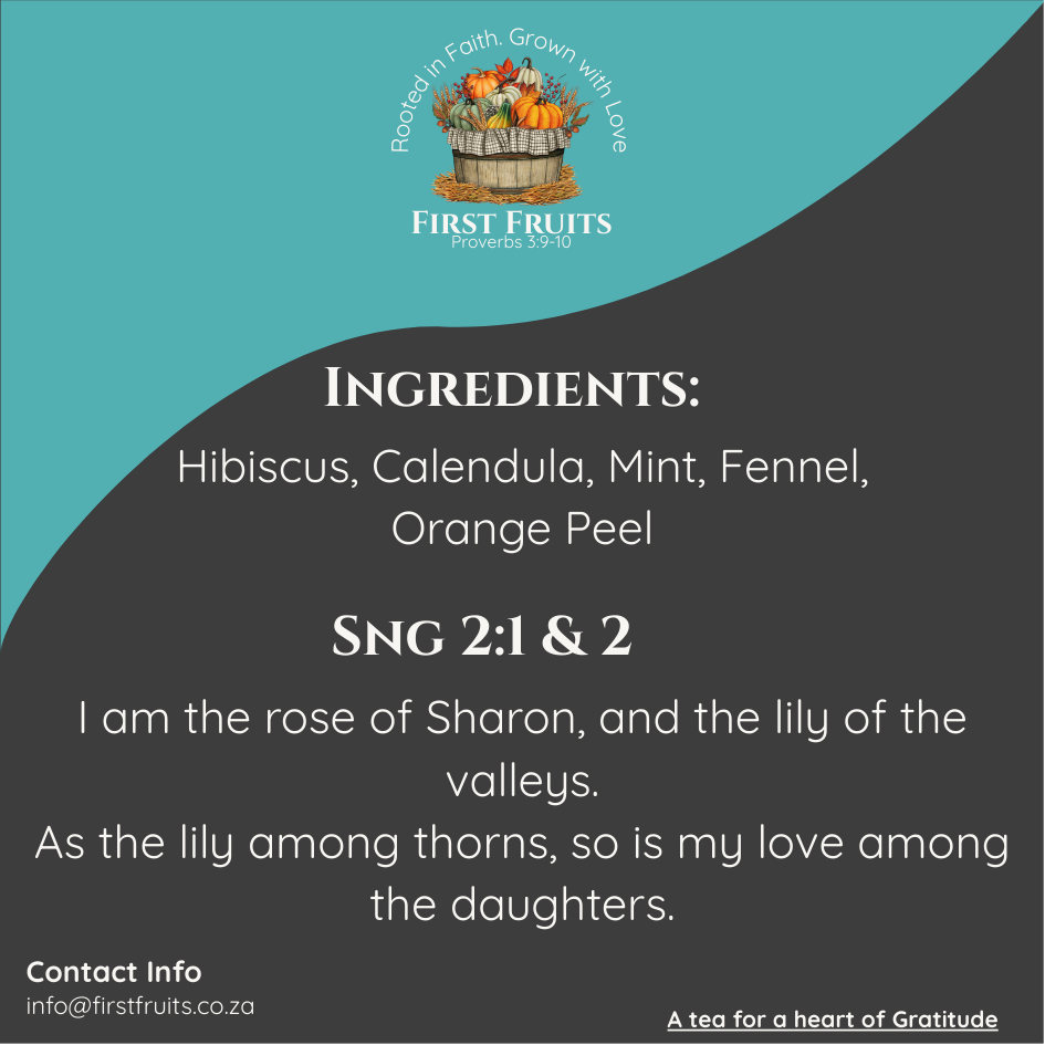 Rose of Sharon – The Gratitude Tea - First Fruits