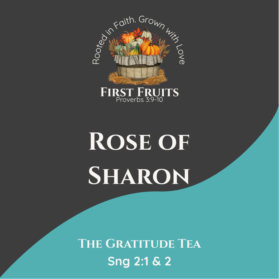 Rose of Sharon – The Gratitude Tea - First Fruits